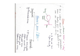 sinus and fistula | PDF