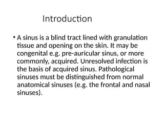 sinuses Group 2.pptx A presentation on sinuses | PPTX