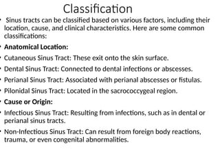 sinuses Group 2.pptx A presentation on sinuses | PPTX