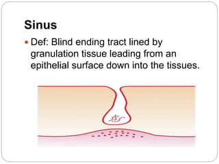 Sinus, fistula, cyst | PPTX