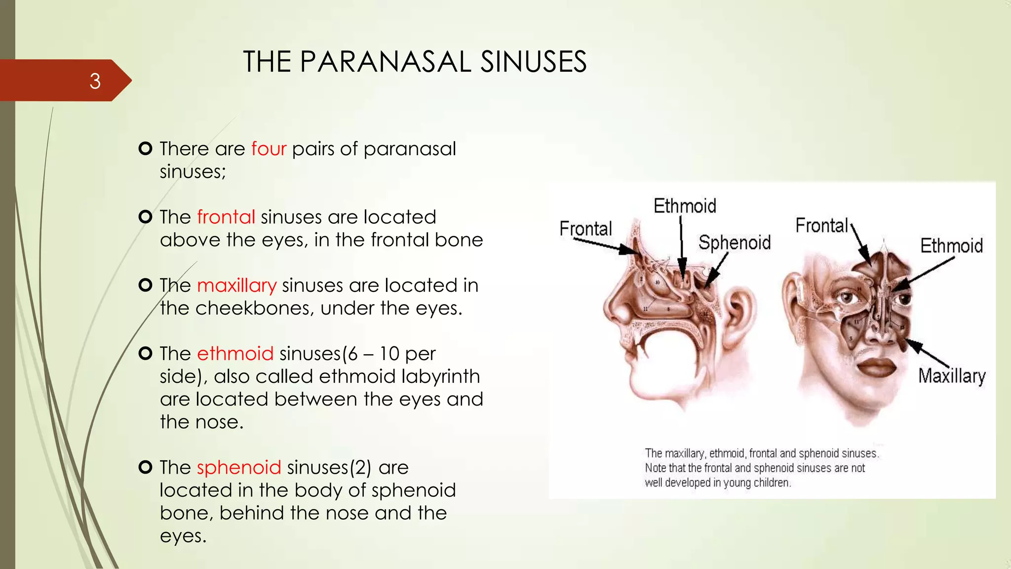 Sinusitis | PPTX