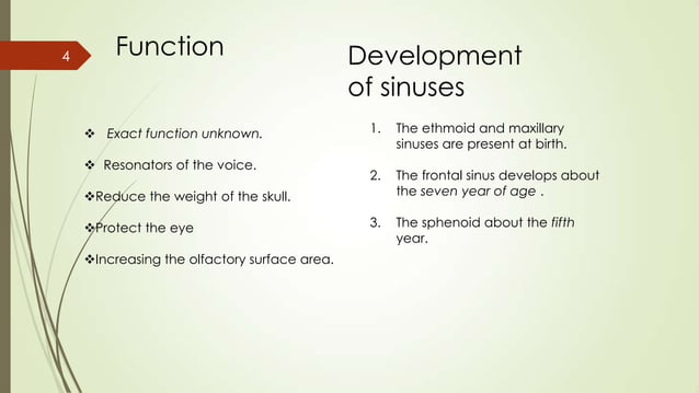 Sinusitis | PPTX | Ear, Nose and Throat Conditions | Diseases and ...
