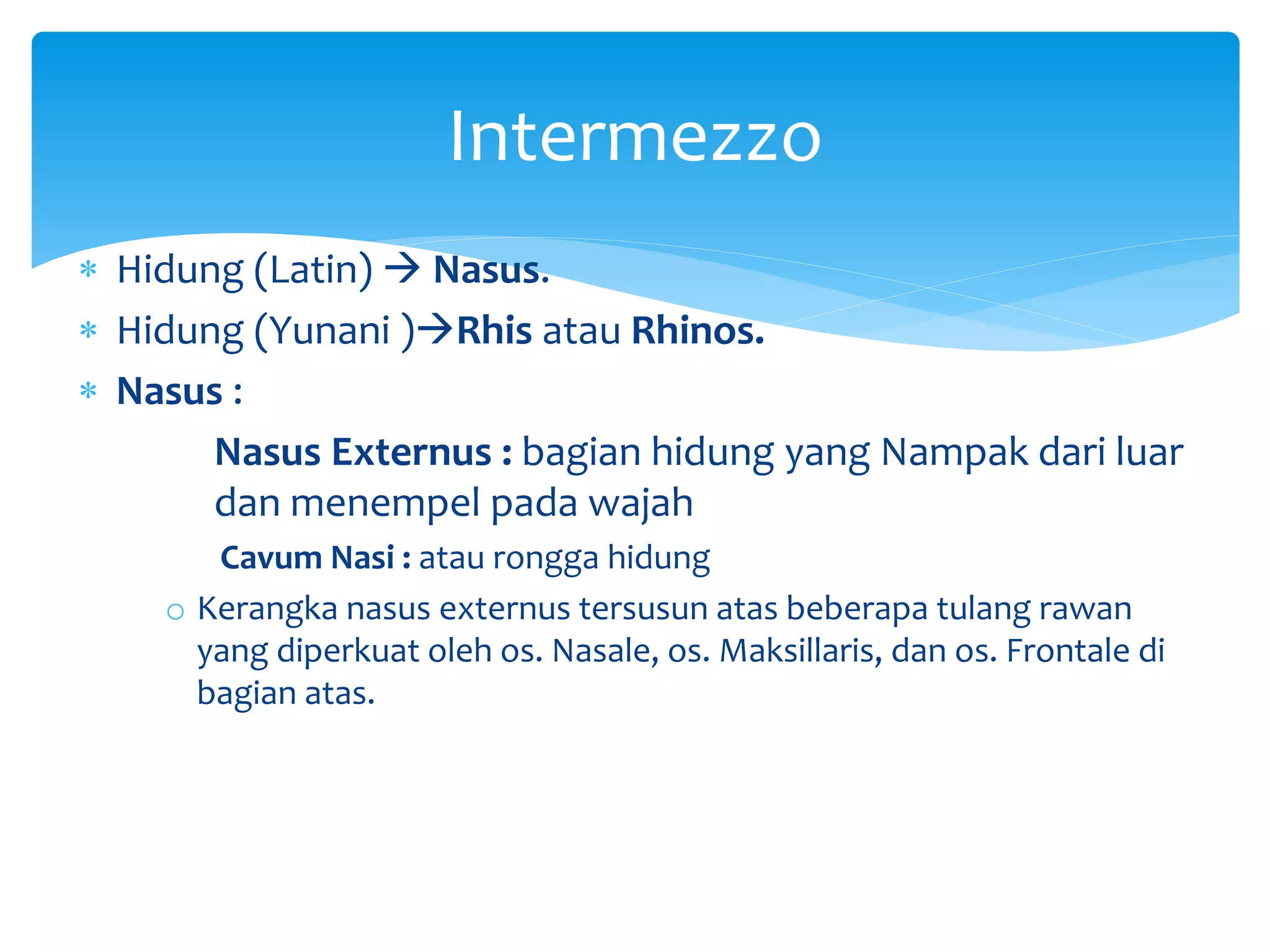 Sinusitis dan Penanganan Fisioterapi | PPTX