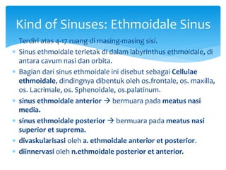 Sinusitis dan Penanganan Fisioterapi | PPTX