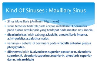 Sinusitis dan Penanganan Fisioterapi | PPTX