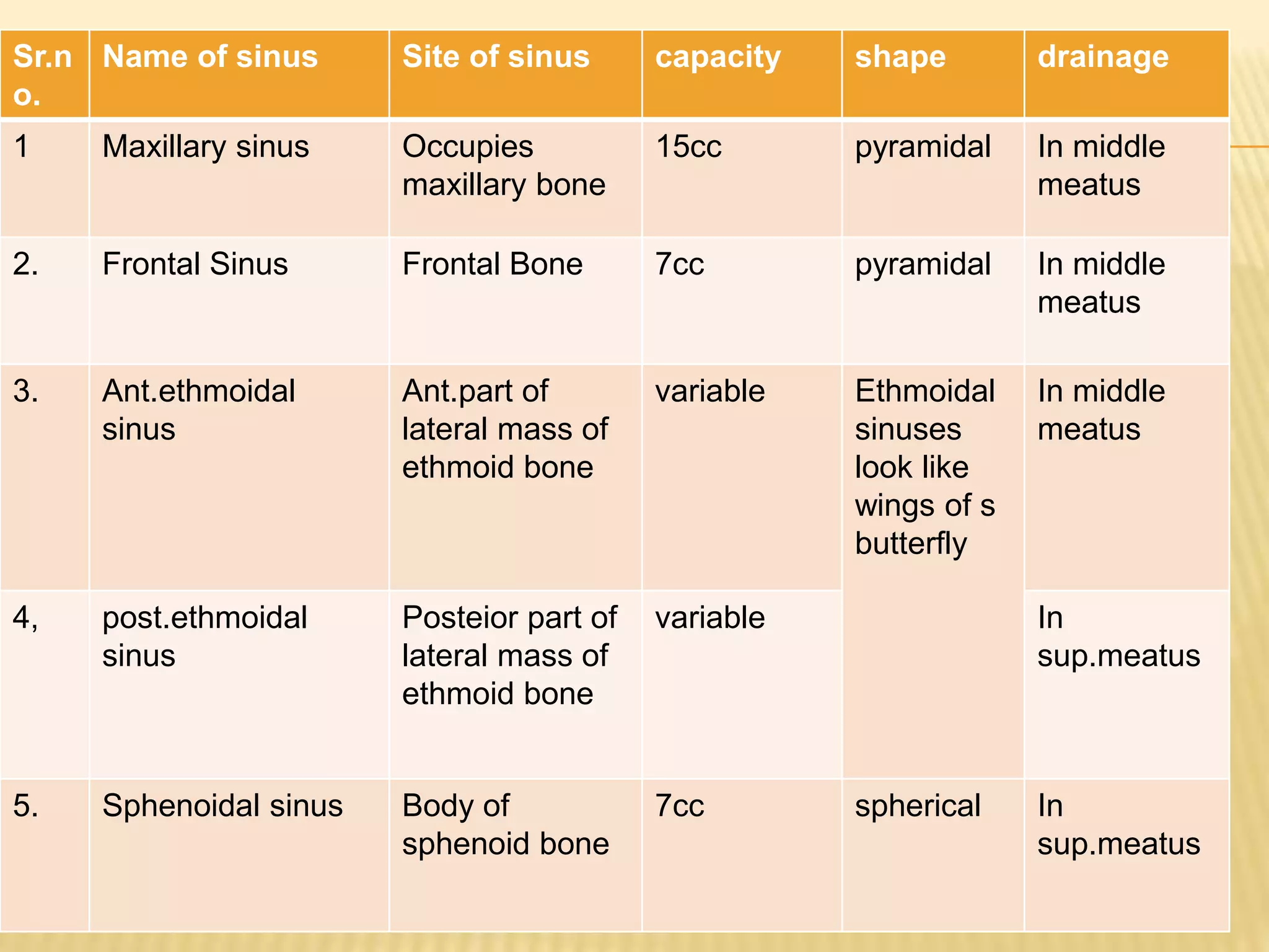 Sinusitis / Dr.Varsha Dhage | PPT