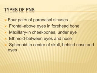Sinusitis / Dr.Varsha Dhage | PPT