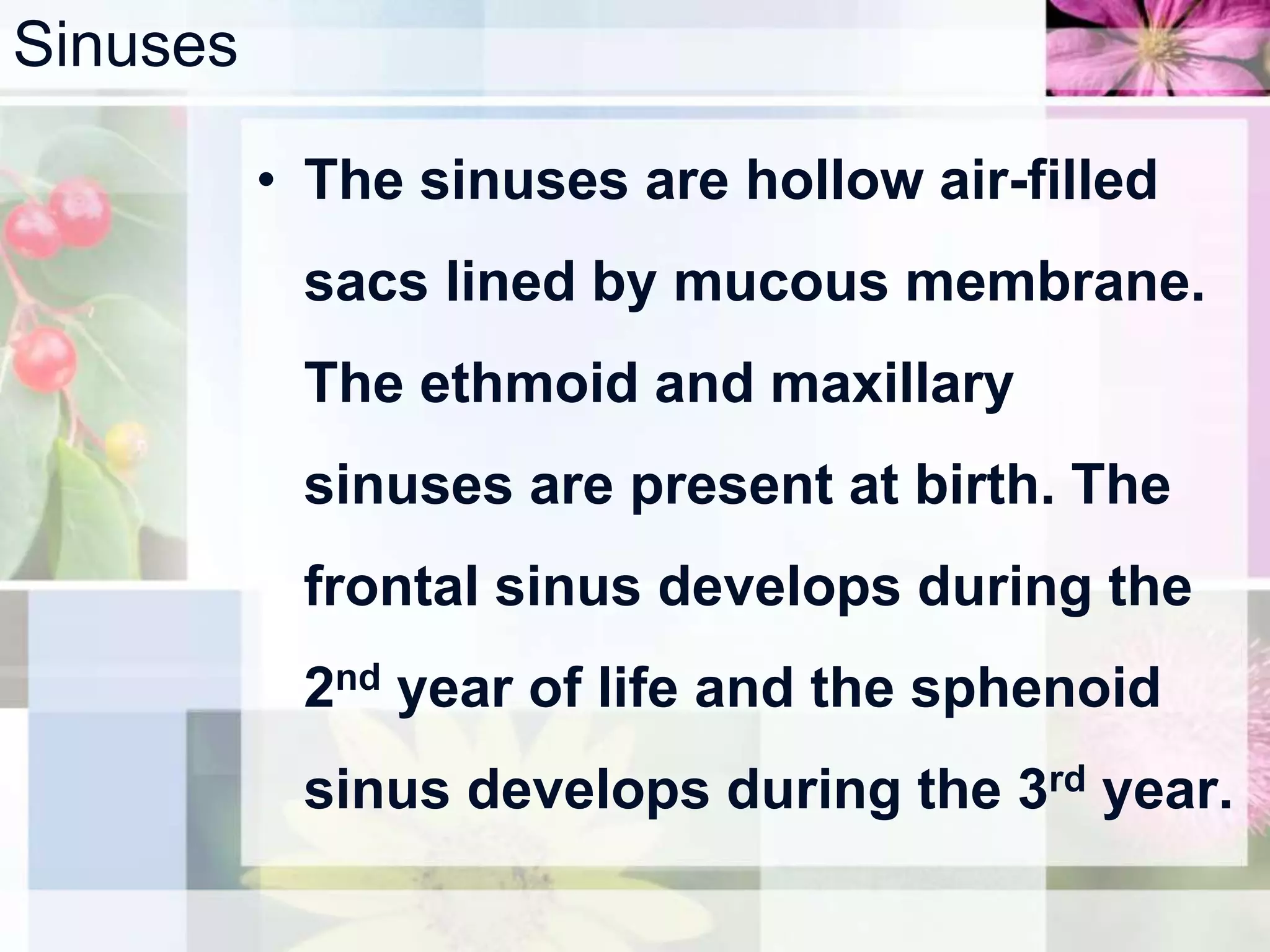 sinusitis.ppt | Free Download