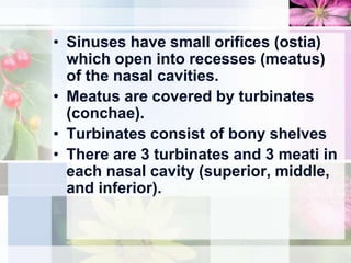 sinusitis.ppt
