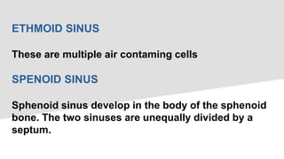 Sinusitis.pptx