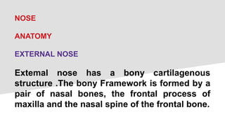Sinusitis.pptx