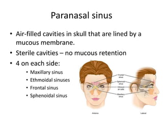 sinusitis.pptx
