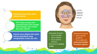 sinusitisSinusitis - Gejala, Penyebab, dan Pengobatan - Alodokter | PPTX