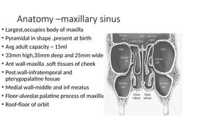 sinusitis.an inflammation of the sinus membrane | PPTX