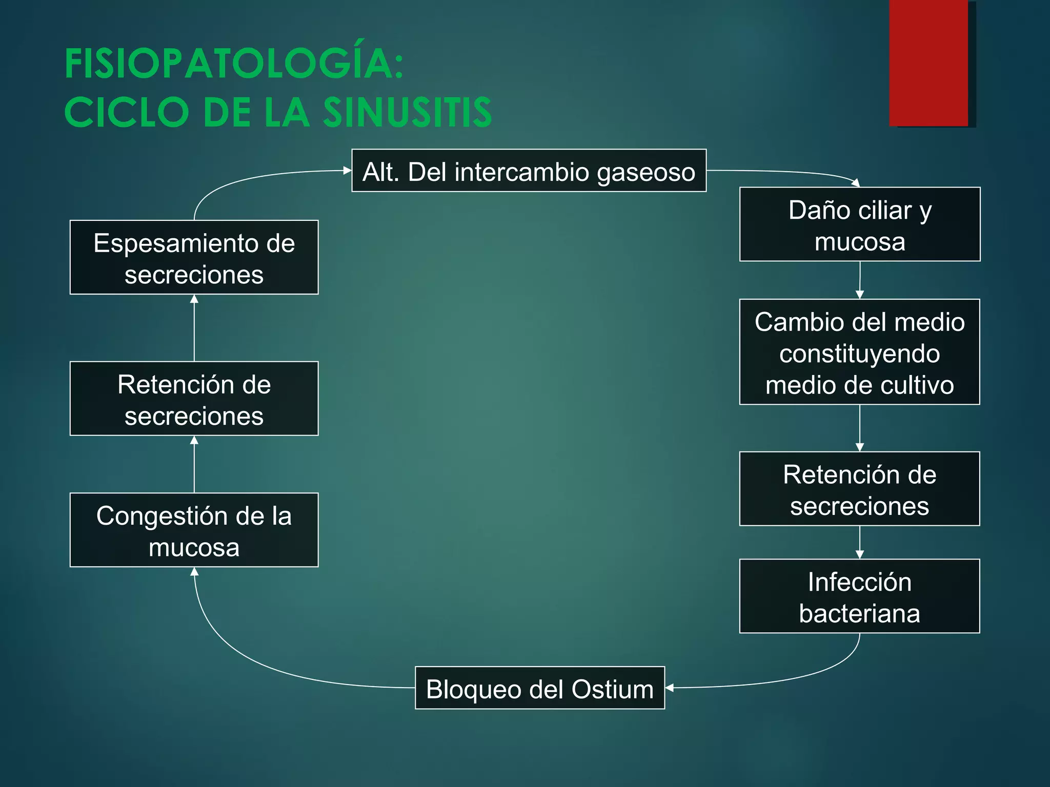 SINUSITIS EN NIÑOS-DR. OMAR GONZALES SUAZO | PPT