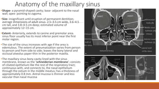 Sinus floor elevation | PPTX