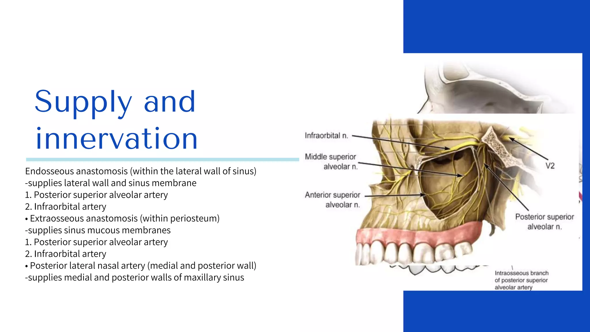 sinus lift | PPTX