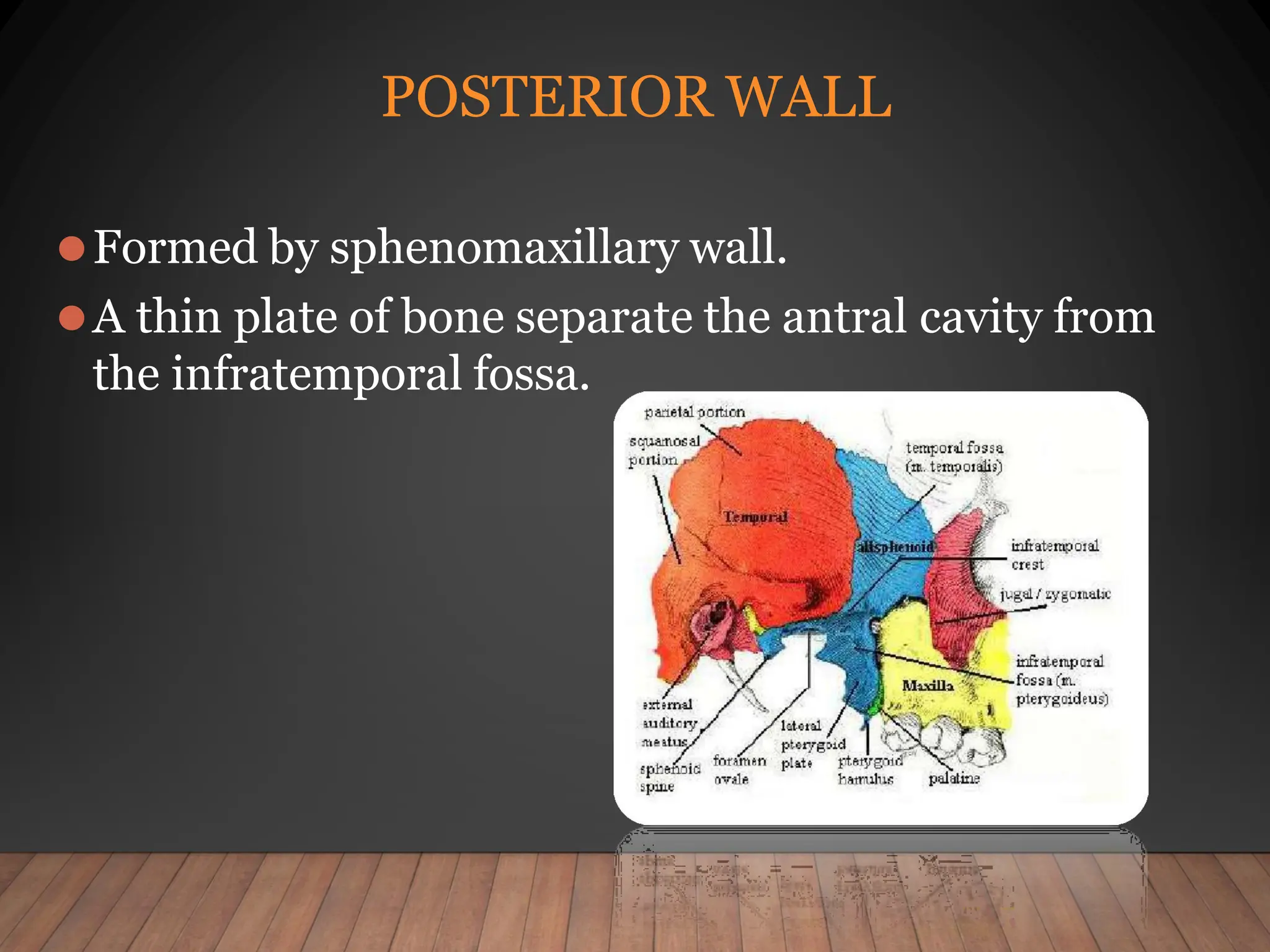 Sinus Lift ppt about maxillary sinus lift | PDF