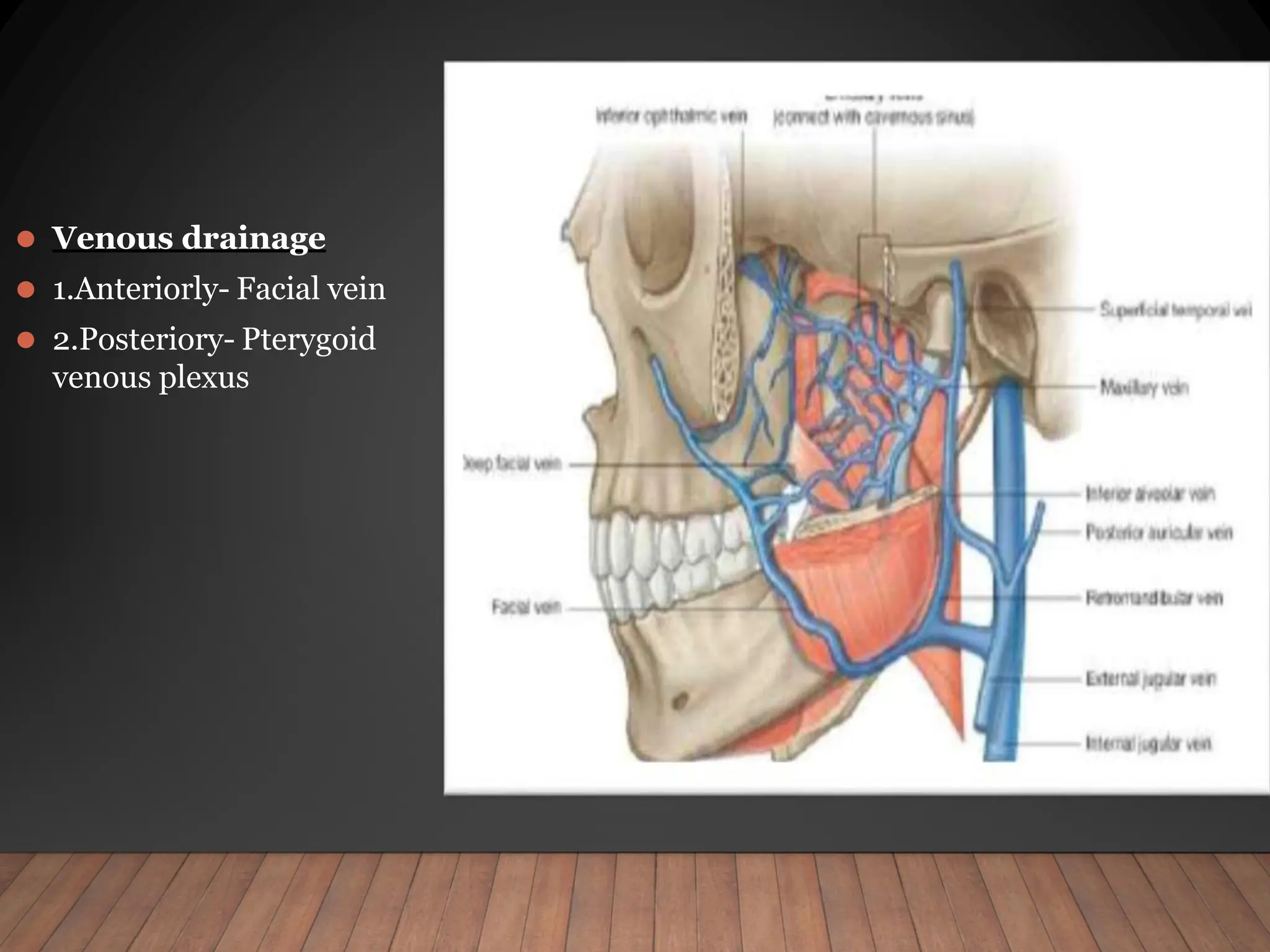 Sinus Lift ppt about maxillary sinus lift | PDF