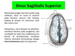 Sinus otak | PPT