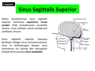 Sinus otak | PPT