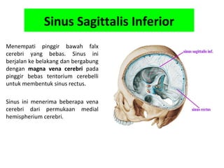 Sinus otak | PPT