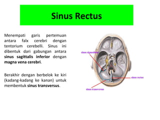 Sinus otak | PPT