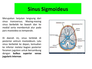 Sinus otak | PPT