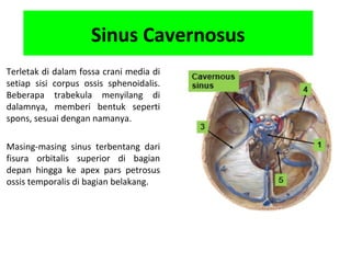 Sinus otak | PPT