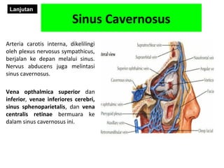 Sinus otak | PPT