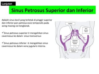 Sinus otak | PPT