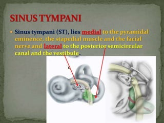 Sinus tympani prof dr bikash | PPT
