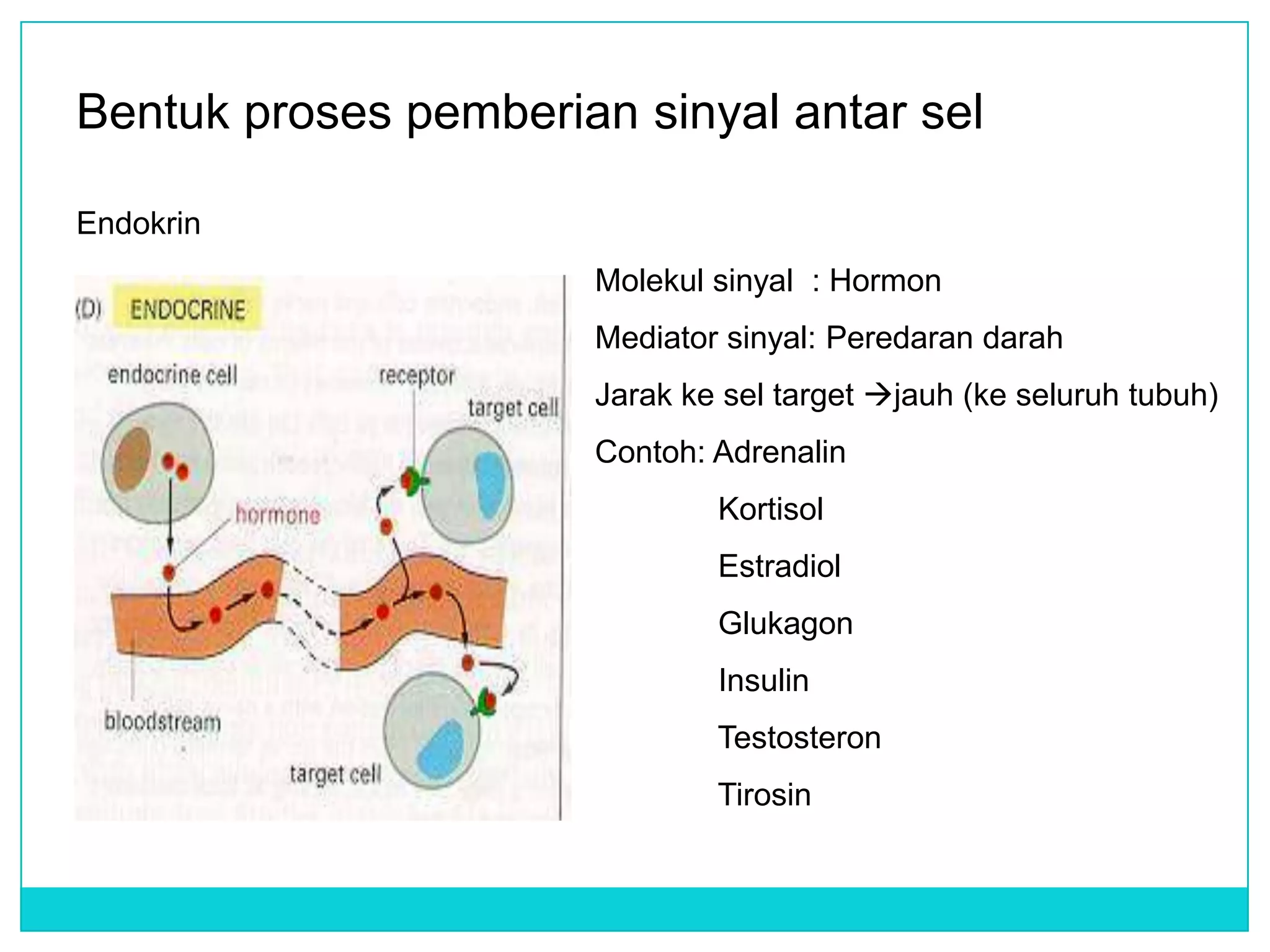 SINYAL HORMON FARMASI UII | PPTX