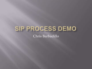 Sip process-demo | PPTX | Dogs | Pets