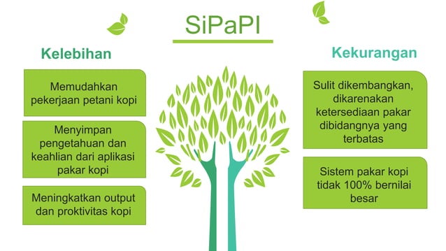 Sipapi fix | PPT