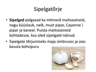 Sipelgad majas ja aias | PPT