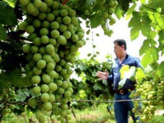 Sipe Sipe - Cochabamba | PPTX