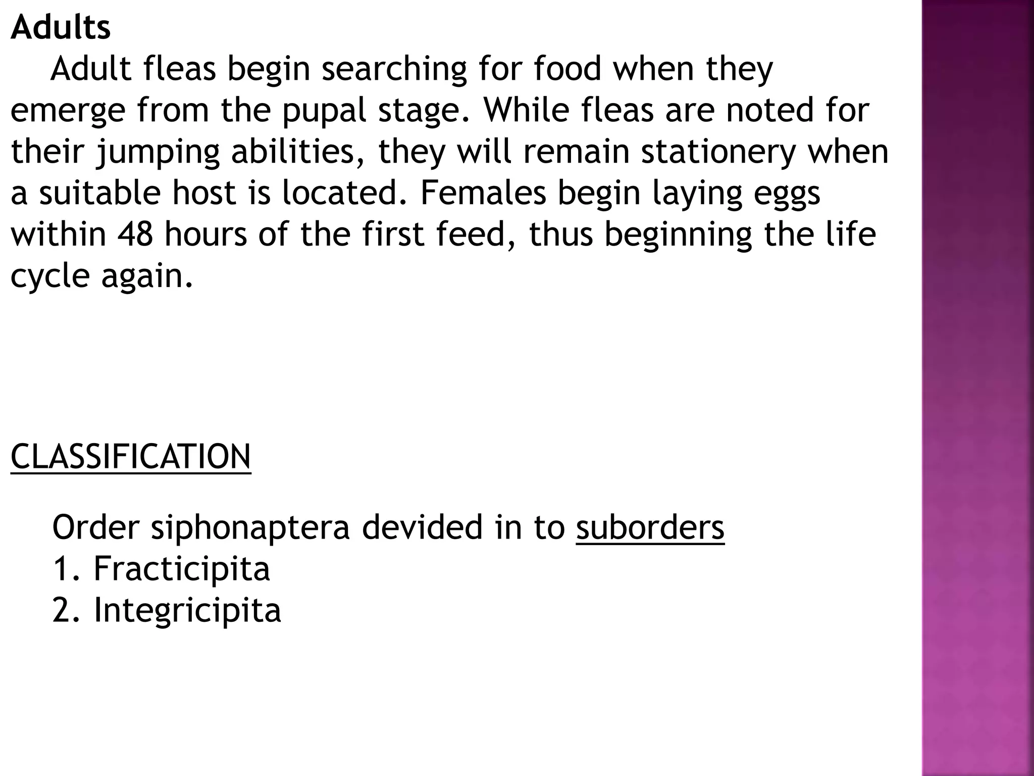 Siphonaptera & strepsiptera | PPTX