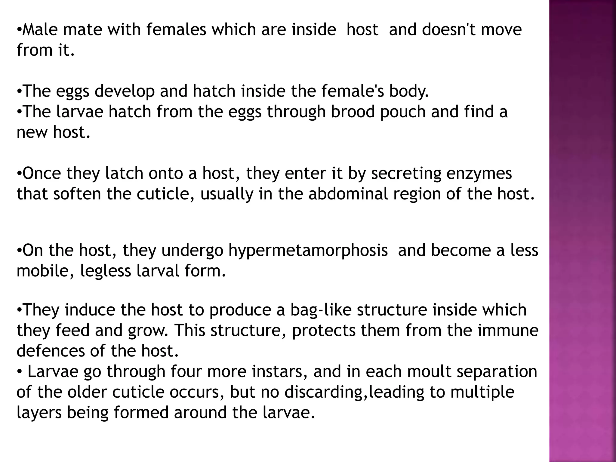Siphonaptera & strepsiptera | PPTX