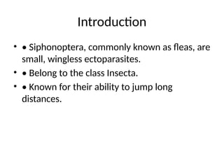 Order Siphonoptera (fleas) Presentation.pptx