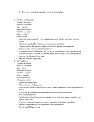 Siphunculata classification | DOCX