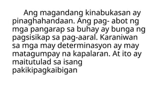 Si Pilu Bibo Halimbawa ng kwentong anekdota | PPTX