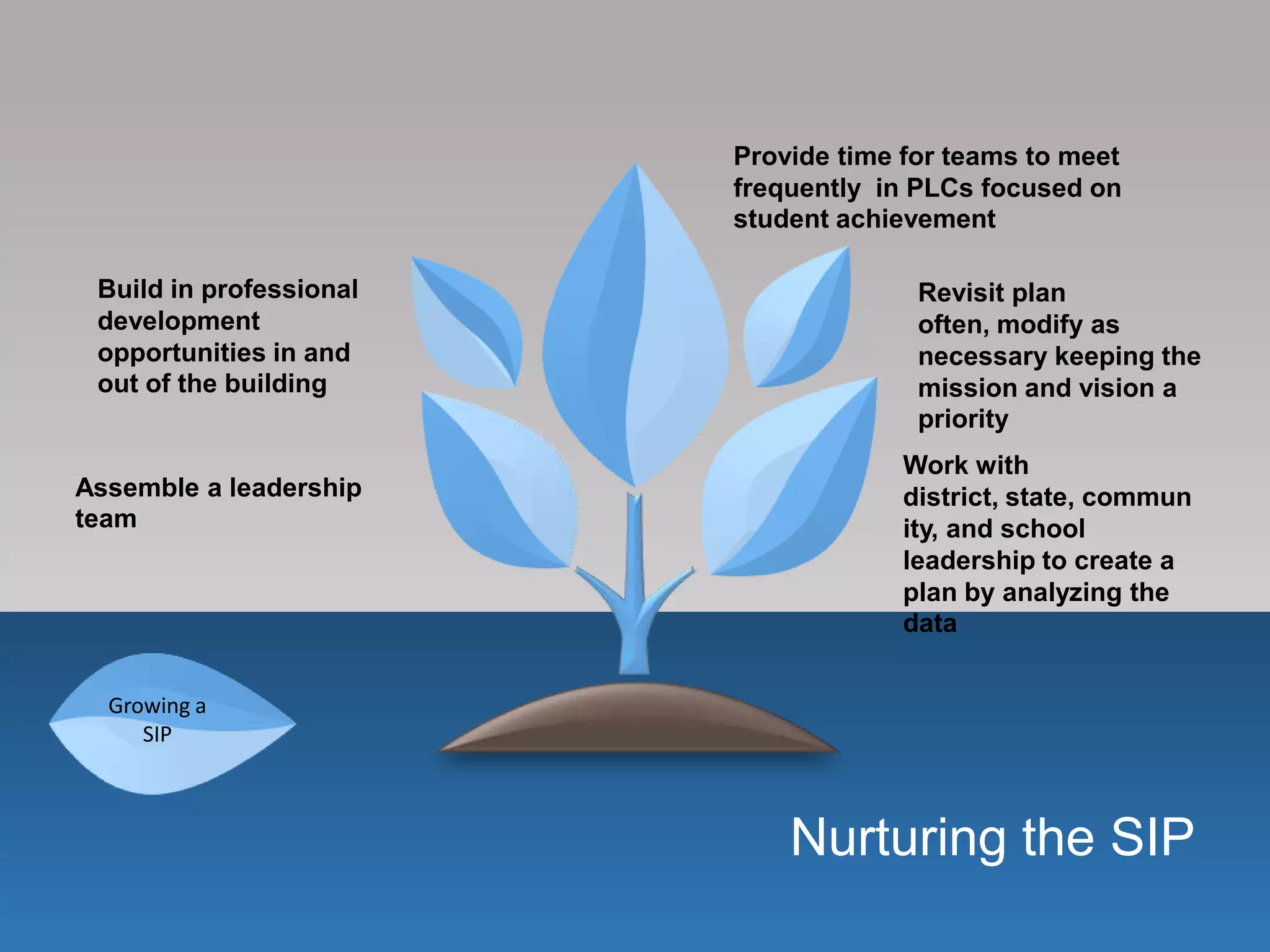 Traci's CSIP ppt | PPTX