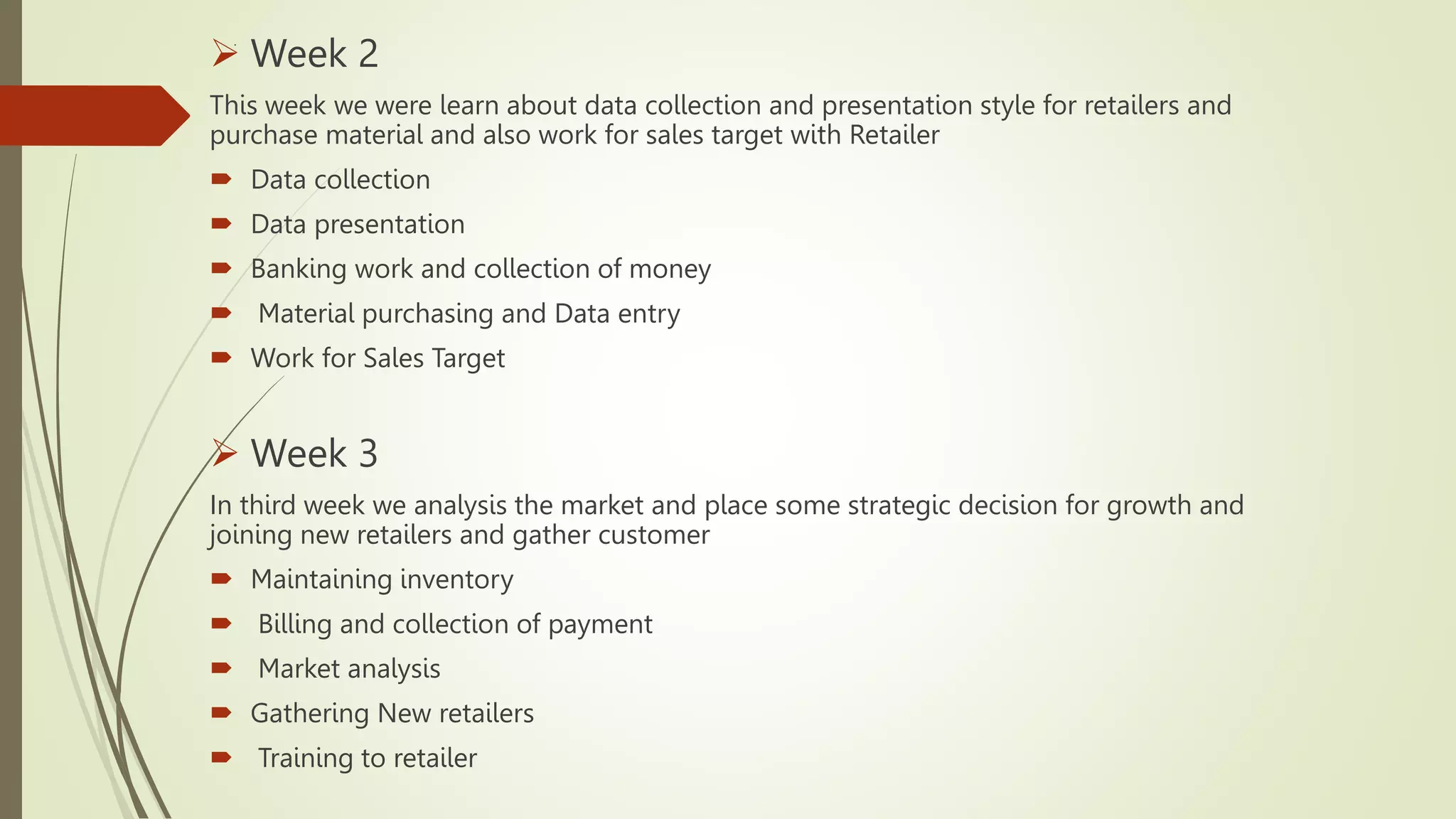 Summer Internship program report | PPT