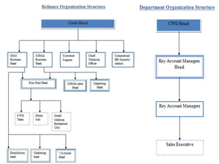 Reliance Communication Sip presentation | PPT