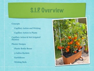 Sub-Irrigated Planters (SIPs) | PPT