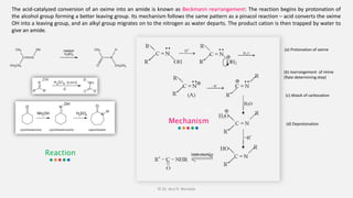 Name Reactions part 1 sem iv poc iii | PPSX