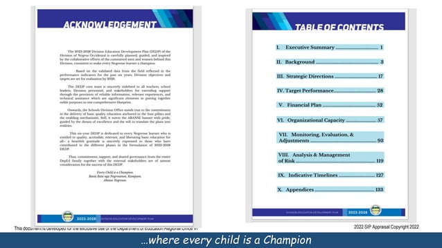 SIP_Summary-Presentation.pptx