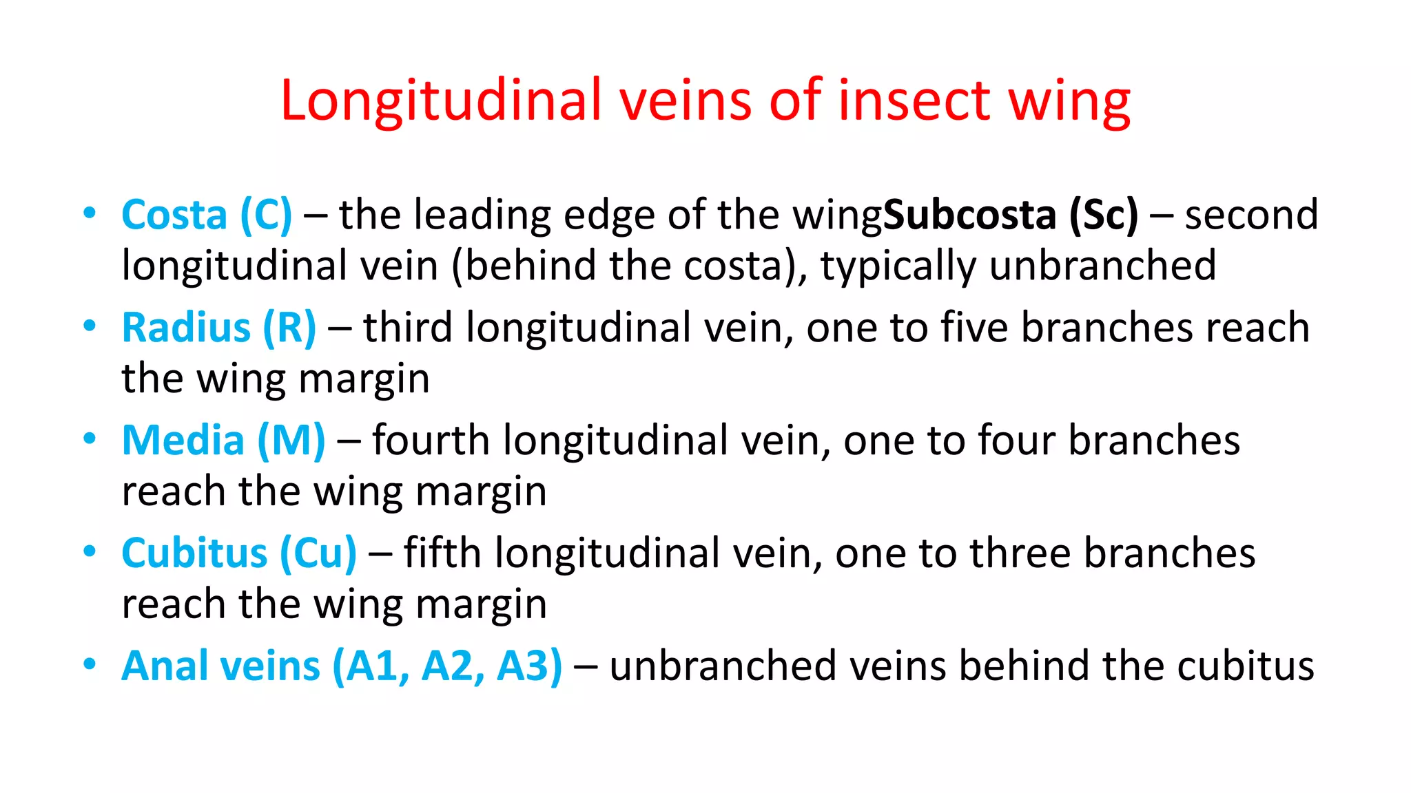 Insects wings and its modifications .pptx