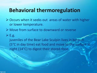 Thermoregulation in vertebrates | PPTX